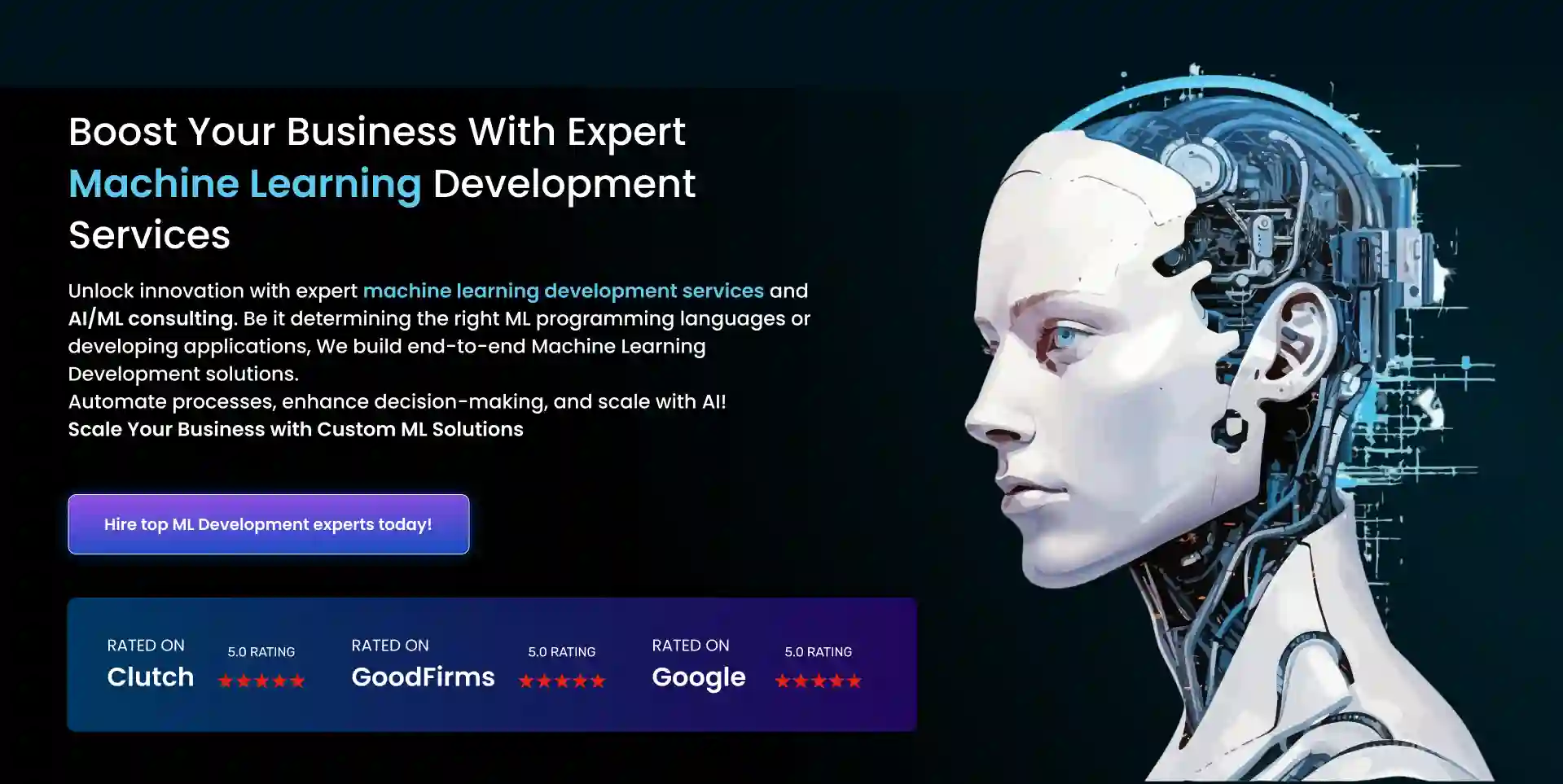 Machine Learning Development Company Australia | ML Solutions by Sunrise Technologies